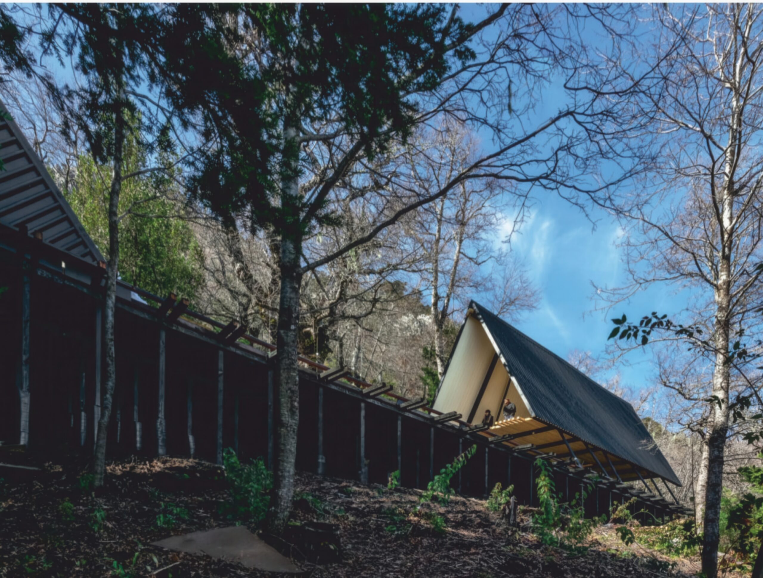 Prism House + Terrace Room | 斯米里扬·拉迪奇｜Smiljan Radić - 建筑学院官方网站