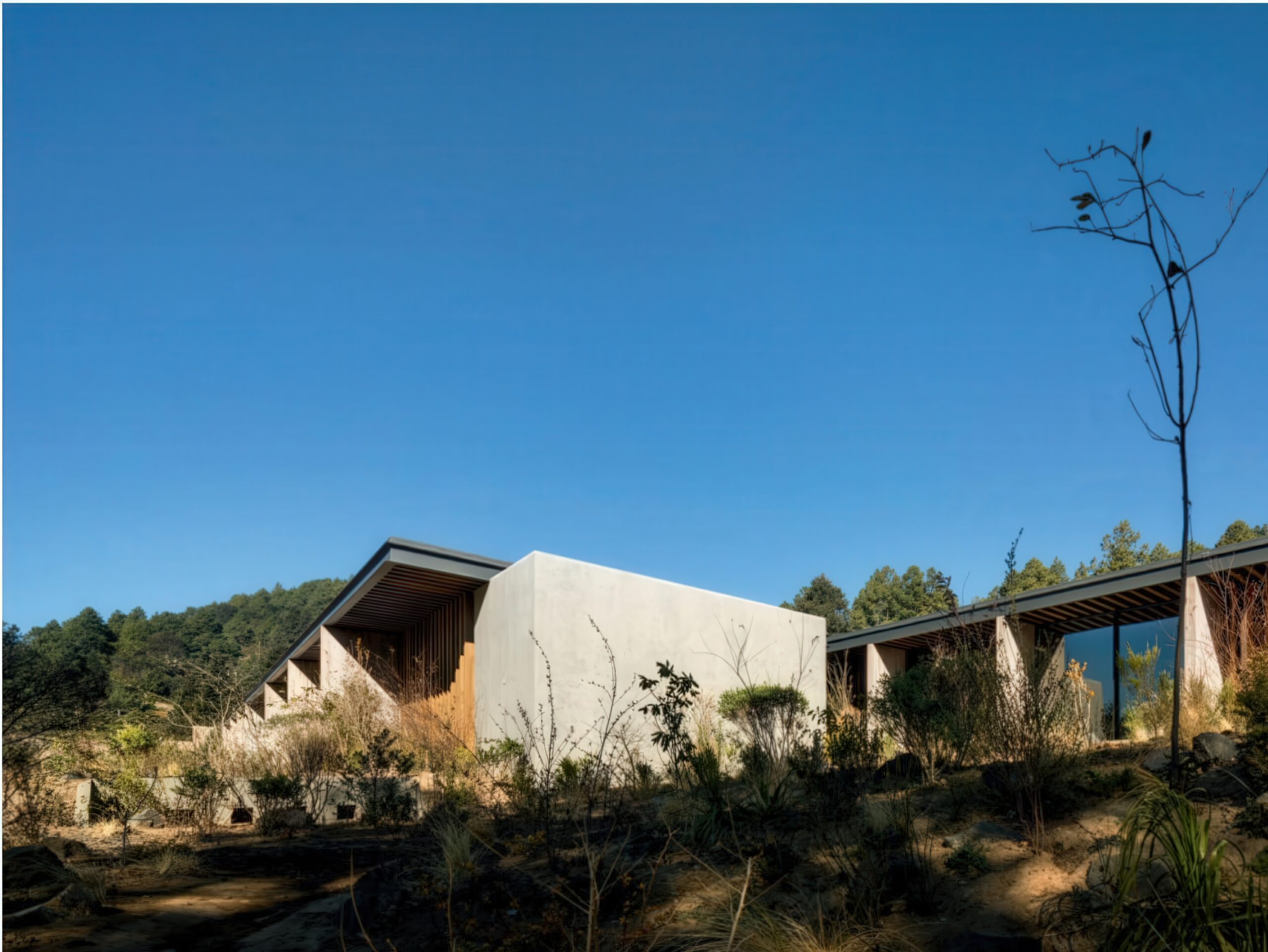 萨拉扎尔之家 Salazar House | 曼努埃尔·塞万提斯｜Manuel Cervantes - 建筑学院官方网站