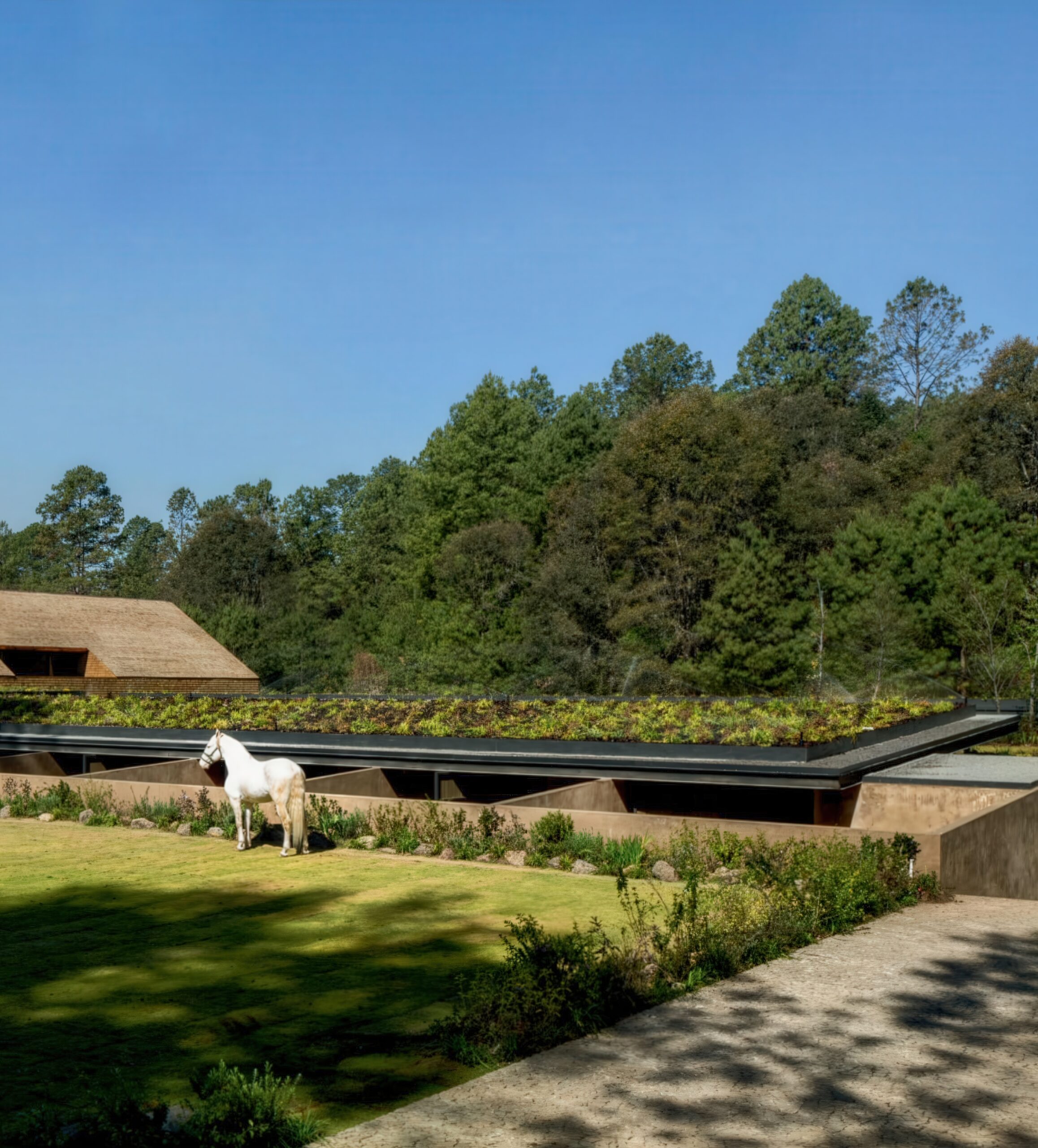 马术项目 Equestrian Project | 曼努埃尔·塞万提斯｜Manuel Cervantes - 建筑学院官方网站