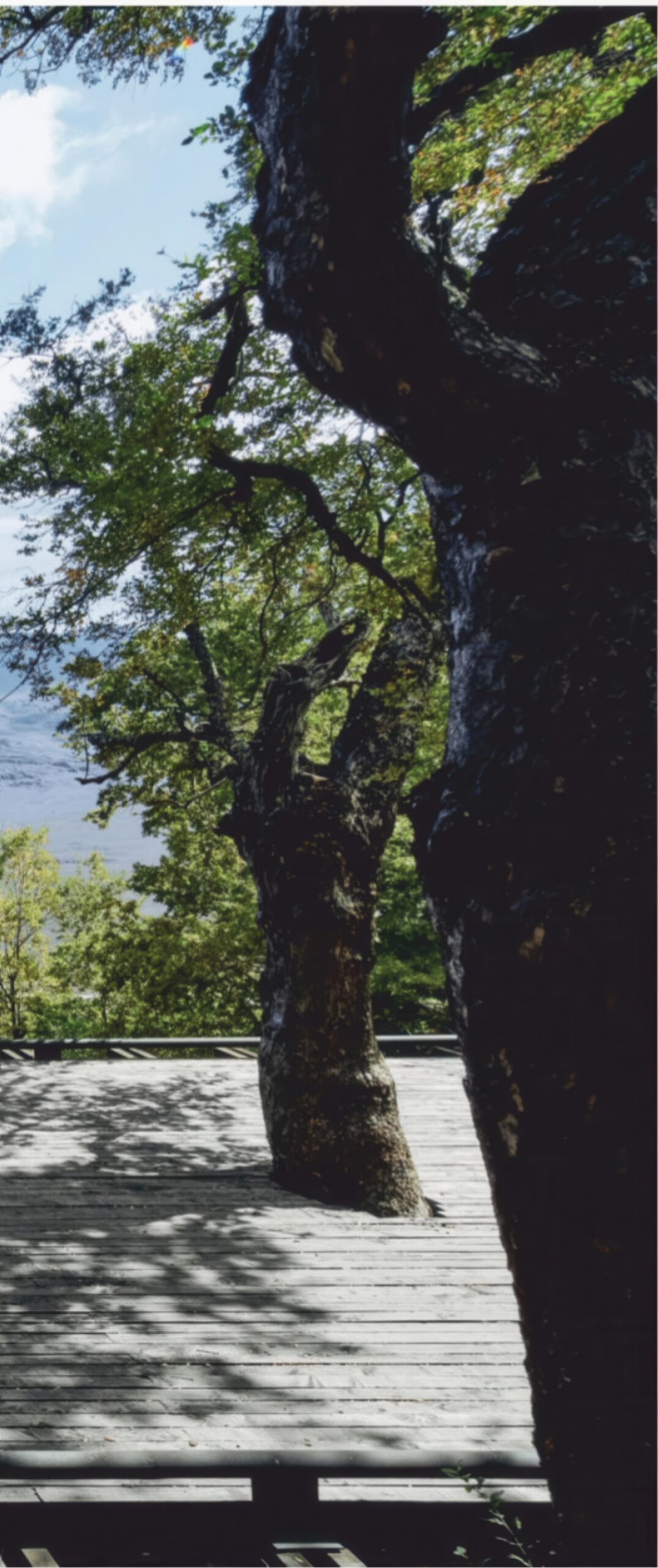 Prism House + Terrace Room | 斯米里扬·拉迪奇｜Smiljan Radić - 建筑学院官方网站