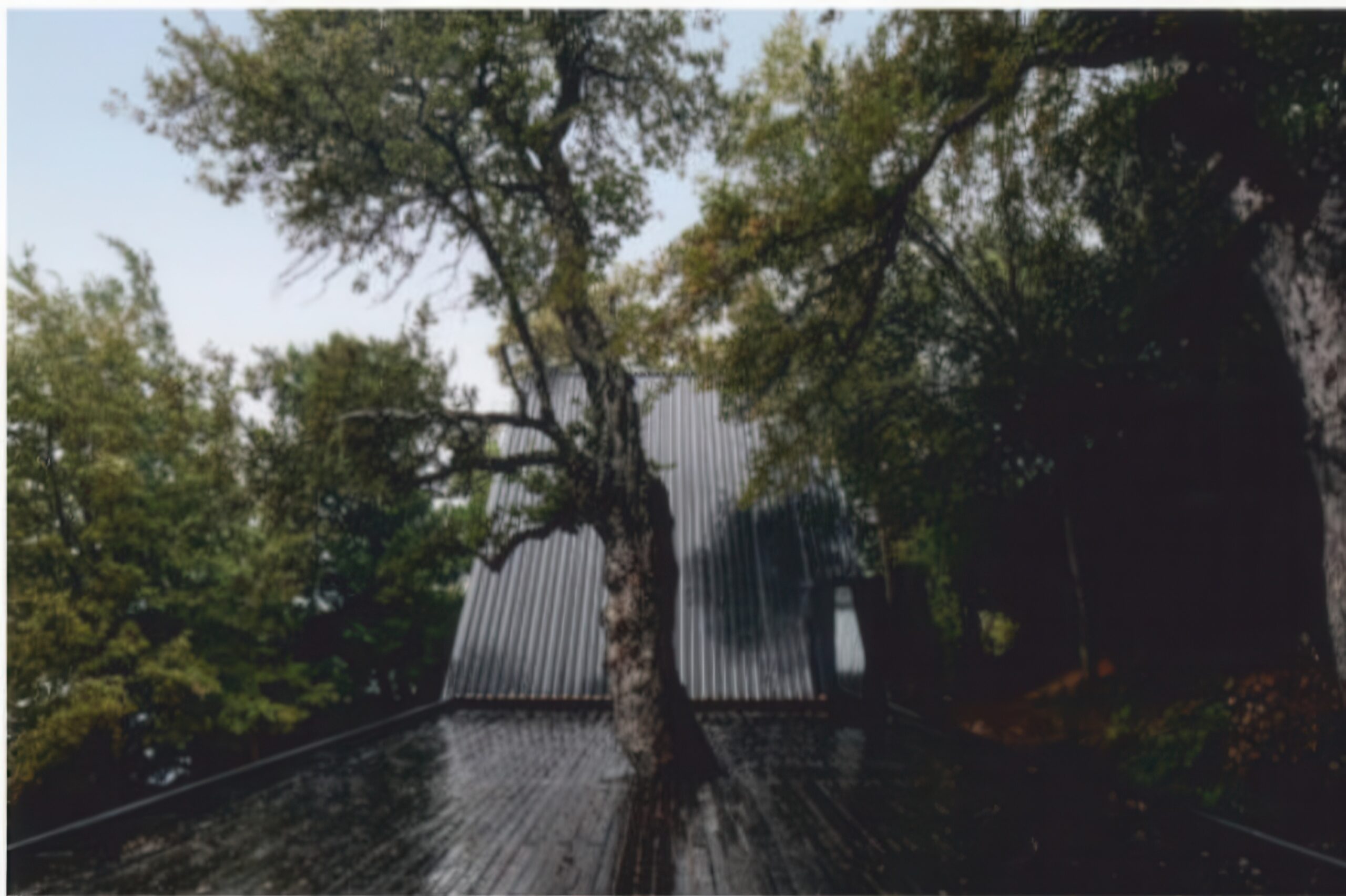 Prism House + Terrace Room | 斯米里扬·拉迪奇｜Smiljan Radić - 建筑学院官方网站
