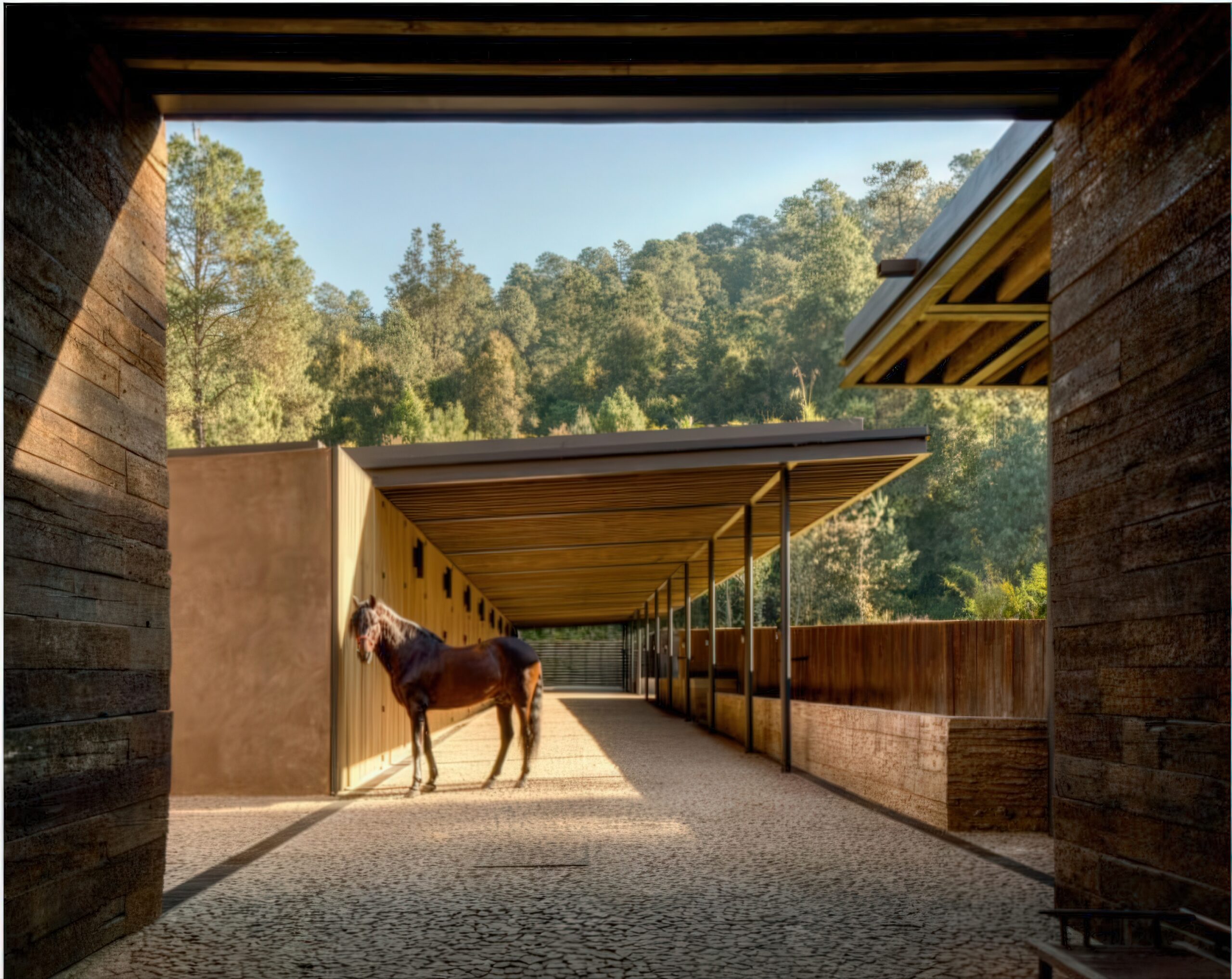 马术项目 Equestrian Project | 曼努埃尔·塞万提斯｜Manuel Cervantes - 建筑学院官方网站