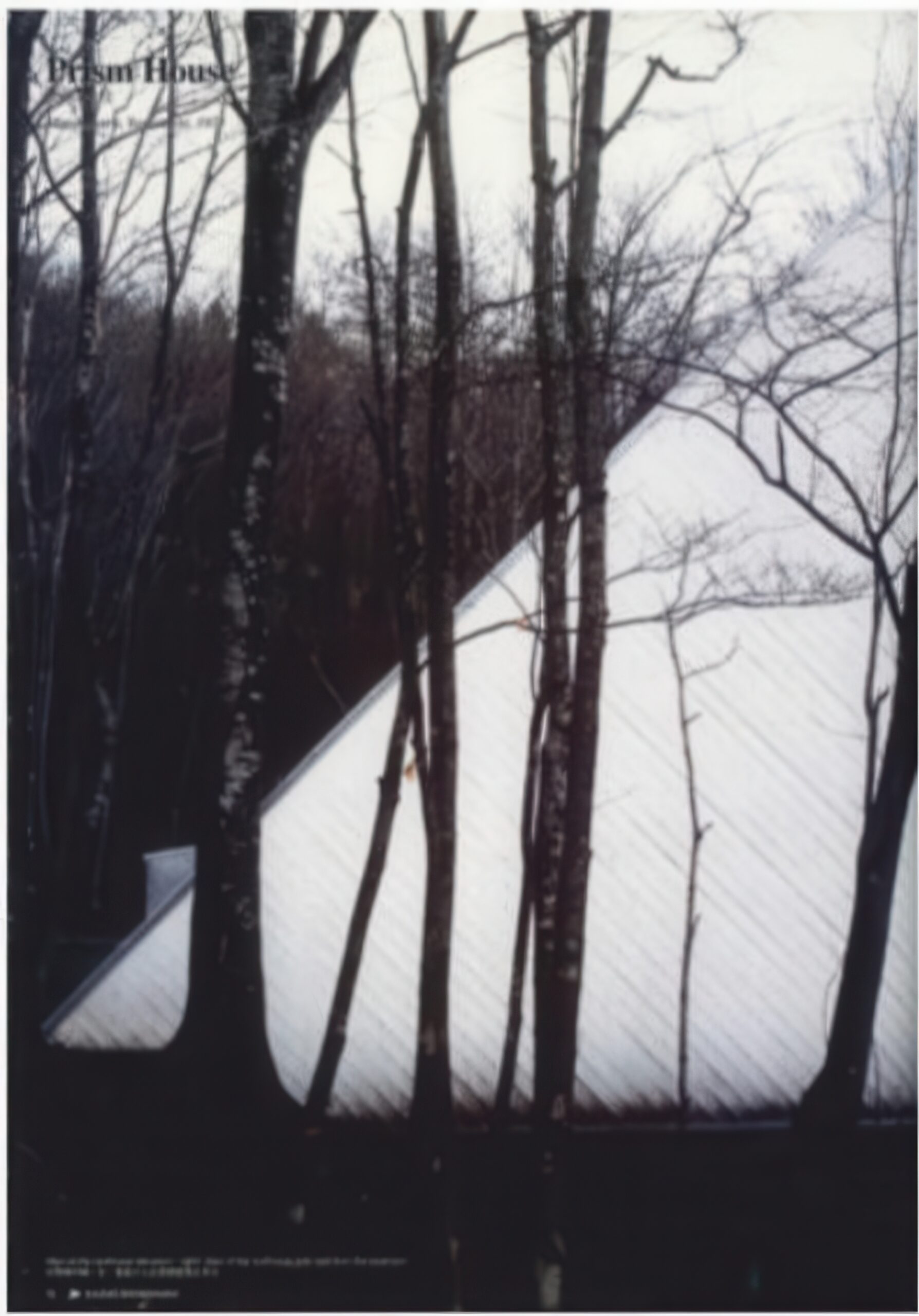 Prism House + Terrace Room | 斯米里扬·拉迪奇｜Smiljan Radić - 建筑学院官方网站