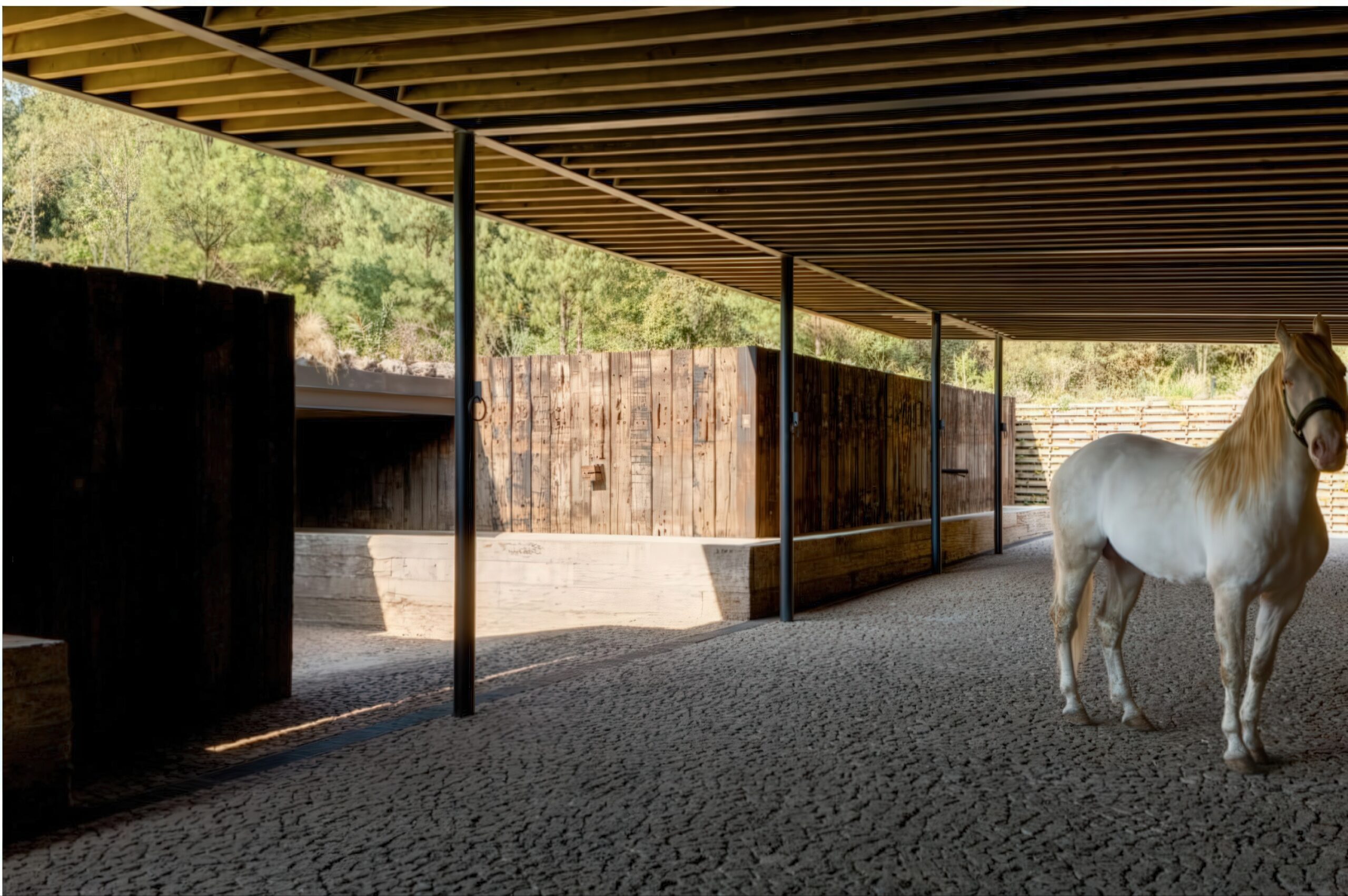马术项目 Equestrian Project | 曼努埃尔·塞万提斯｜Manuel Cervantes - 建筑学院官方网站