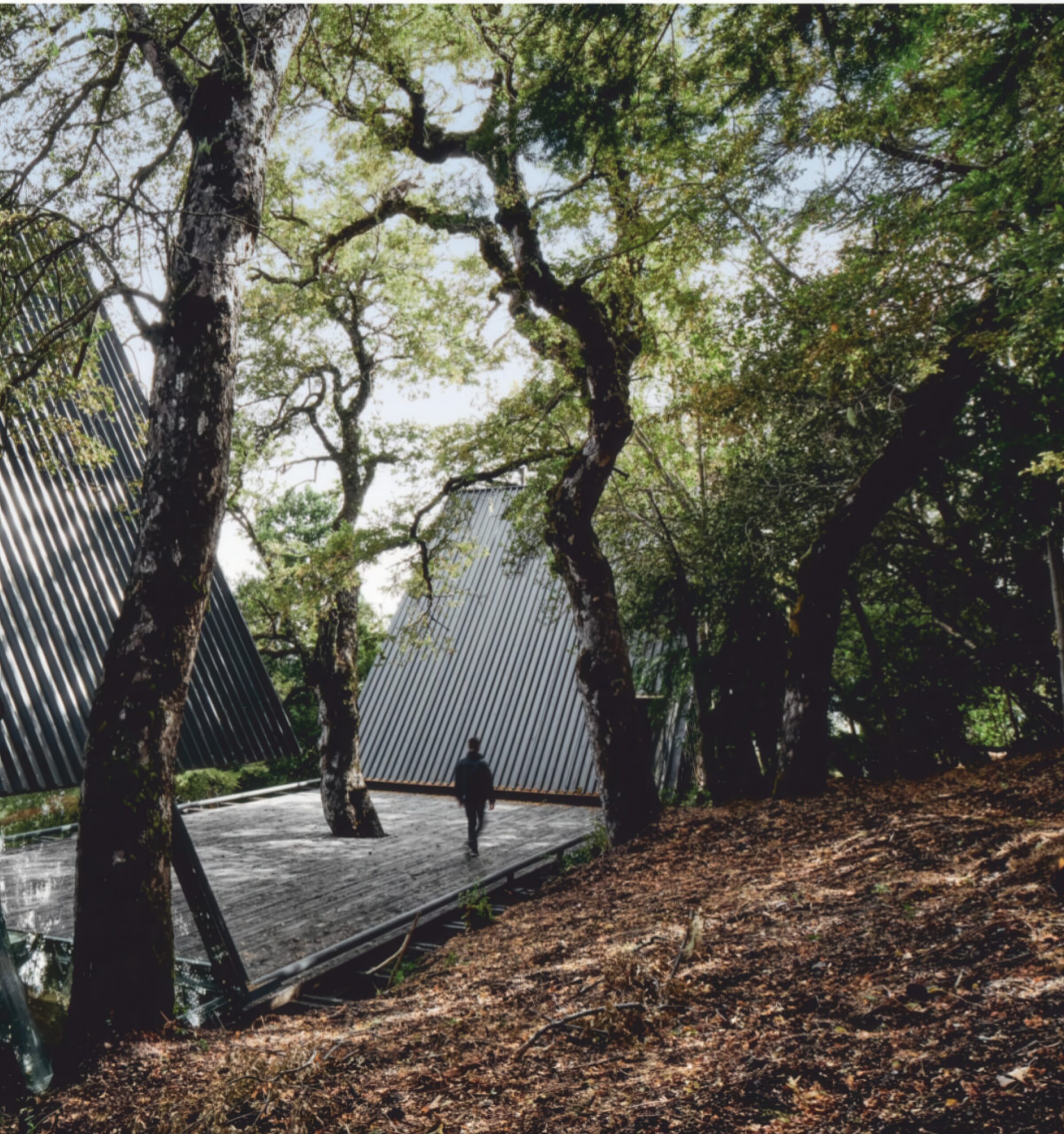 Prism House + Terrace Room | 斯米里扬·拉迪奇｜Smiljan Radić - 建筑学院官方网站